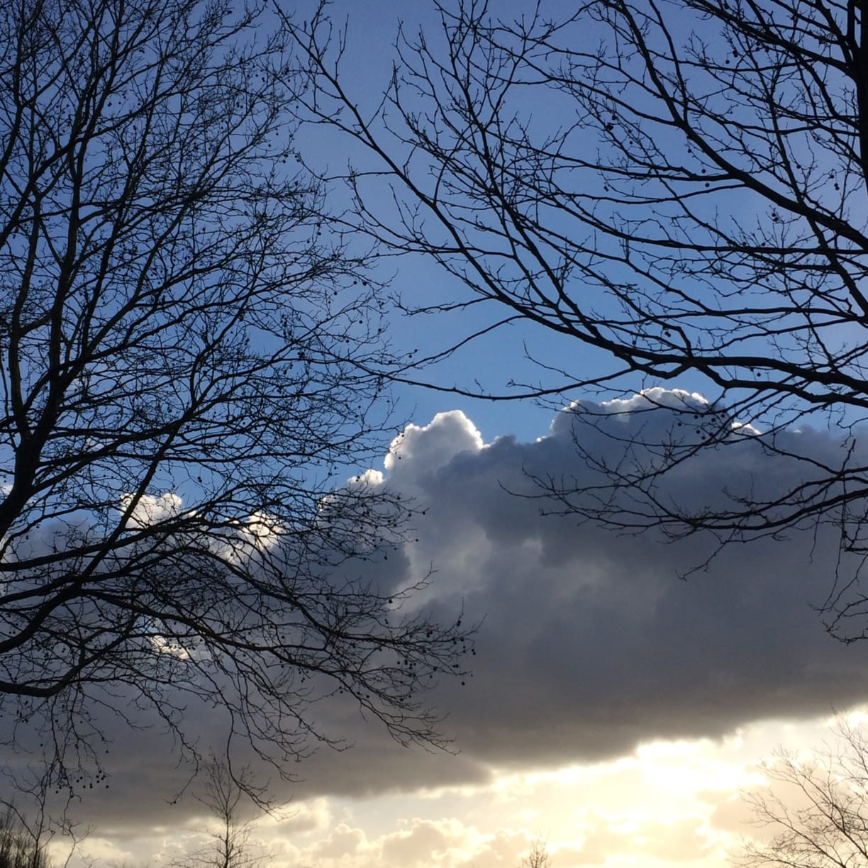 12 Quotes to Help You Find the Silver Lining in Every Cloud | The ...