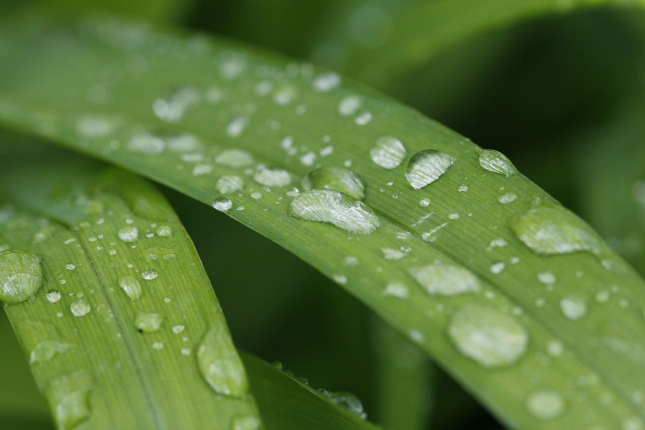 10 Counterintuitive Ways to Cope with Chronic Illness (That Actually ...